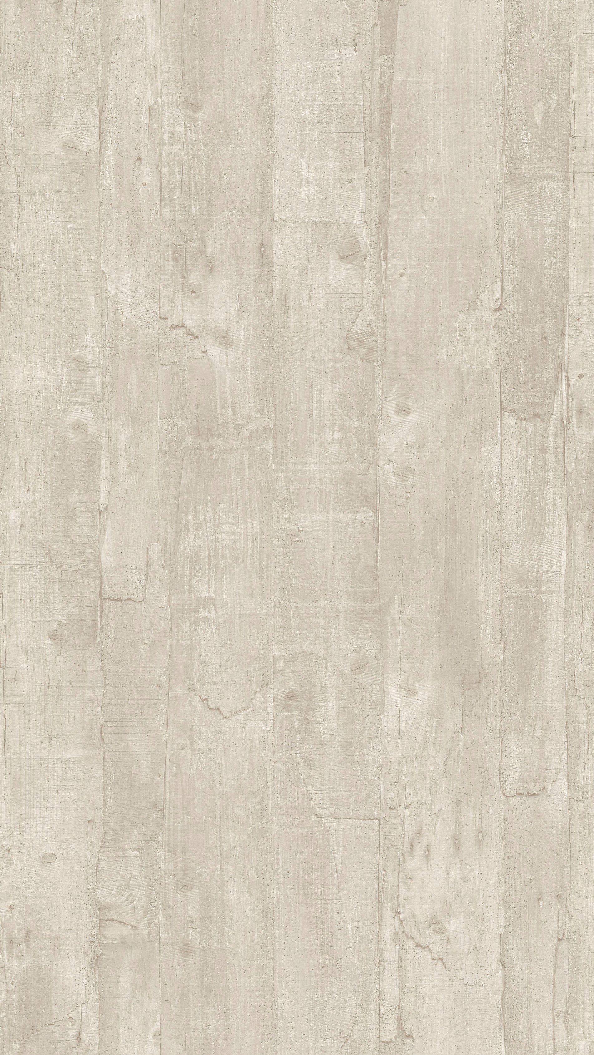 Plaster Wood - Standard Compacts - Compact Laminates - Collection